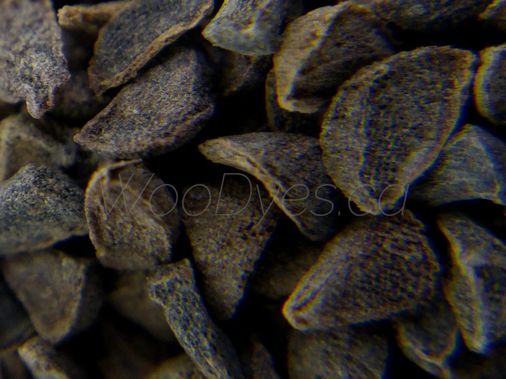 Syrian Rue Seeds (Peganum Harmala) - W∞Dyes